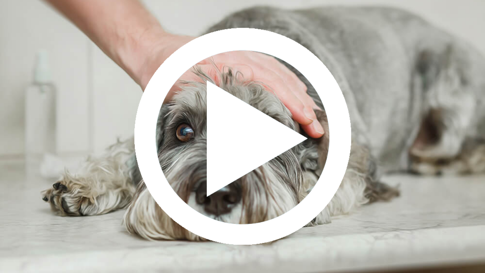 Cómo obtener una muestra de LCR: indicaciones, técnica y complicaciones ...